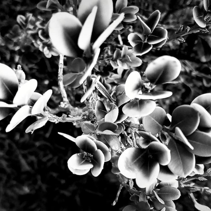 Start Here | Hugo Zarate