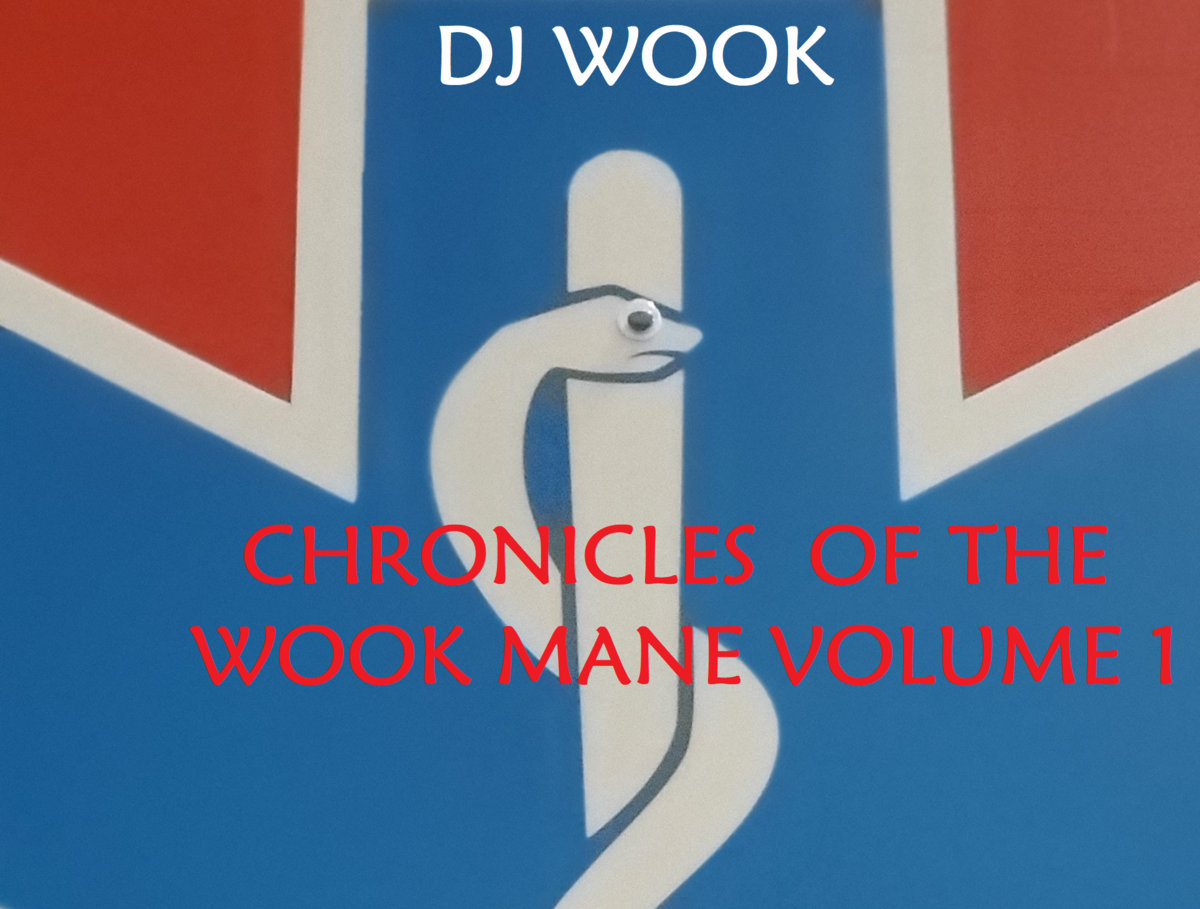 Chronicles Of The Wook Mane Volume 1 | DJ Wook