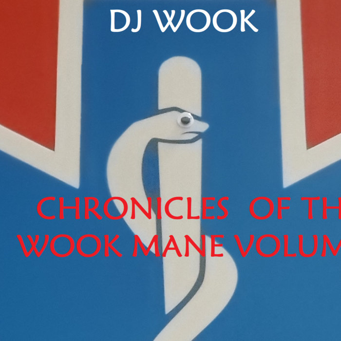 Chronicles Of The Wook Mane Volume 1 | DJ Wook