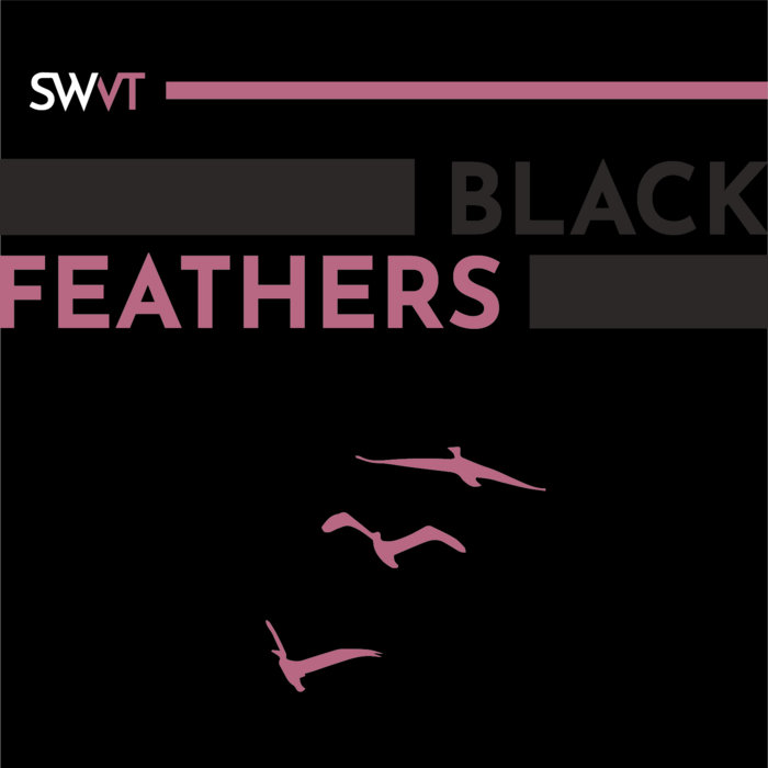 Black Feathers | Swivet