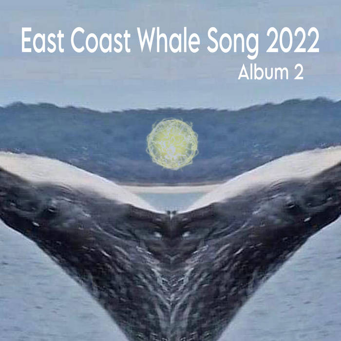 Whale Singing