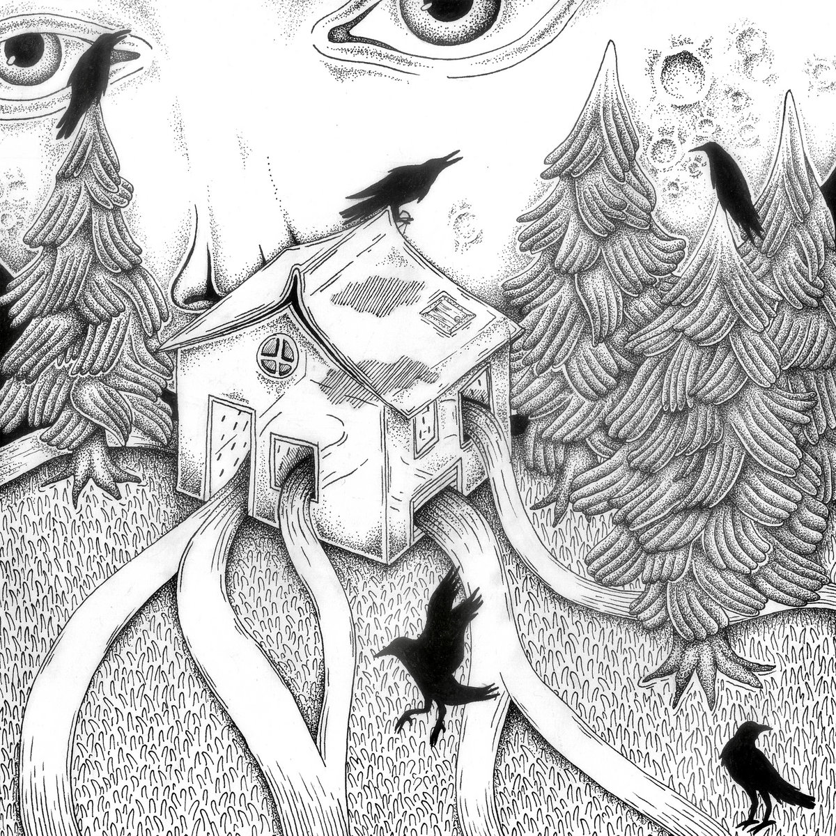 Cold Nights | Passing Ravens