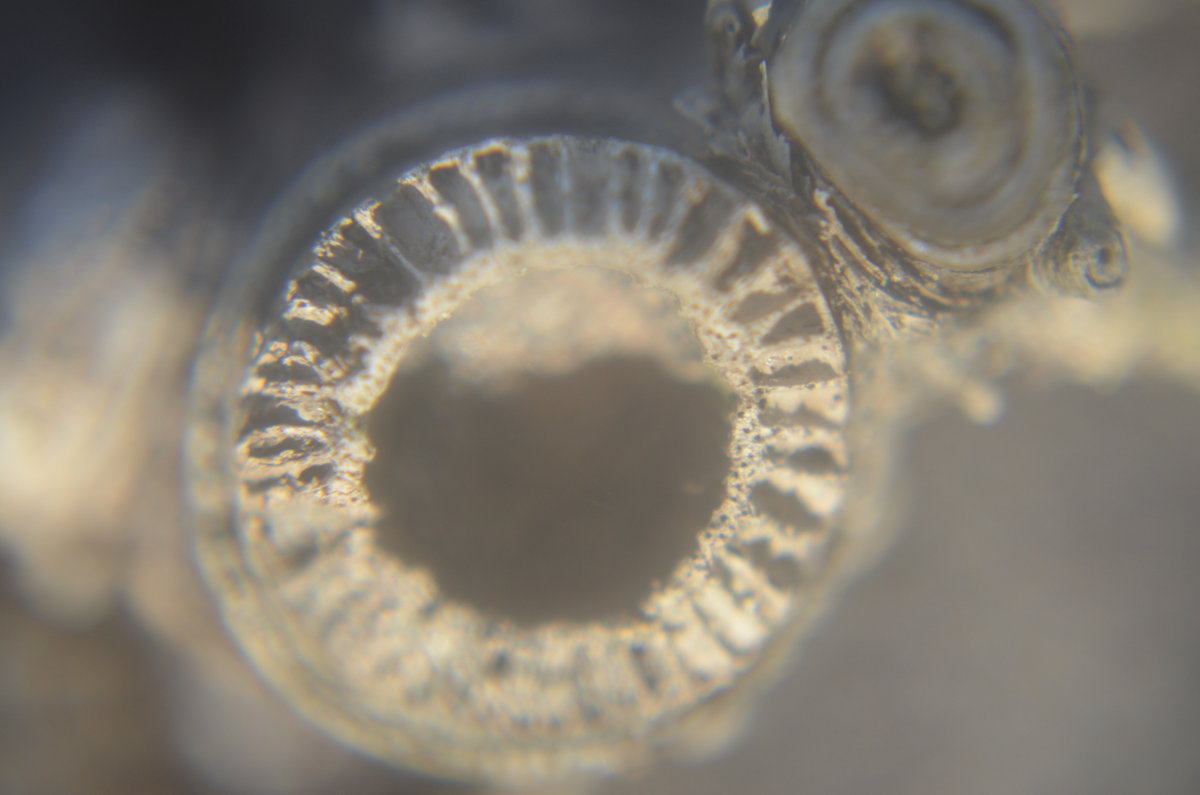 Welcome Party | Noble Robot