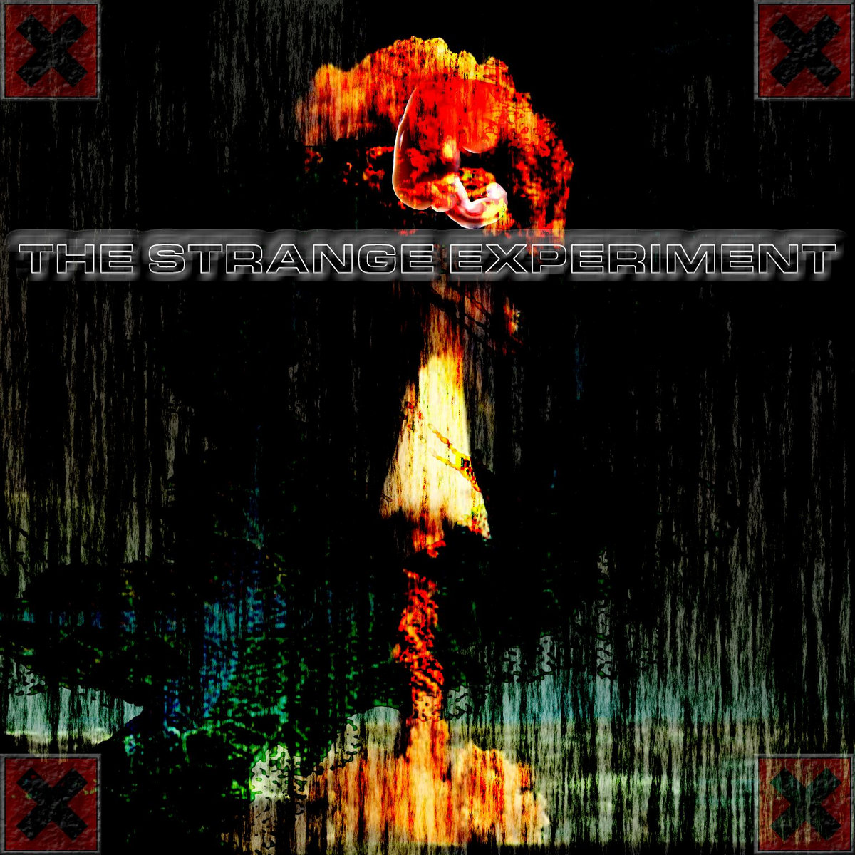 The Strange Experiment | Merle Blanc