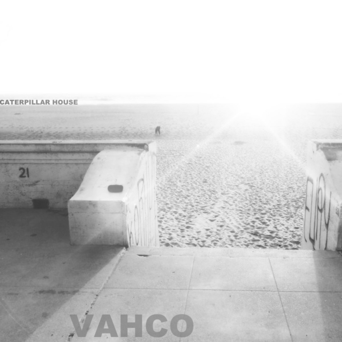 caterpillar house | VAHCO