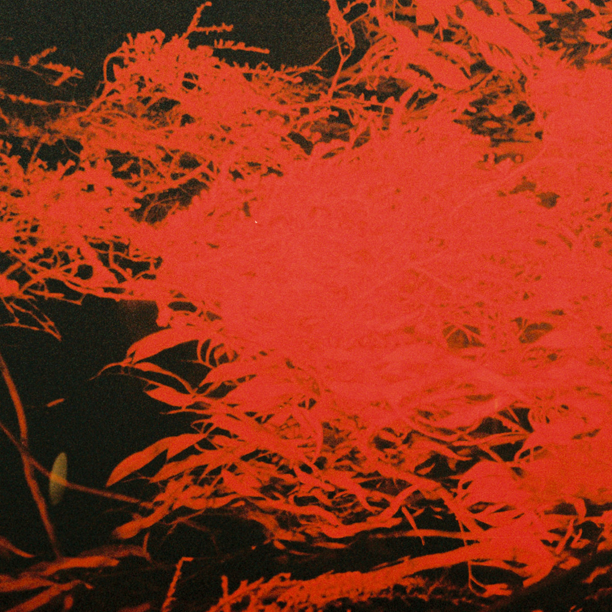 In Studio Magic | Anthony Naples