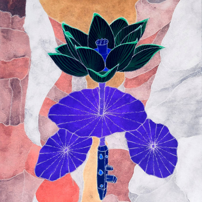 the lotus is the key | quaggy