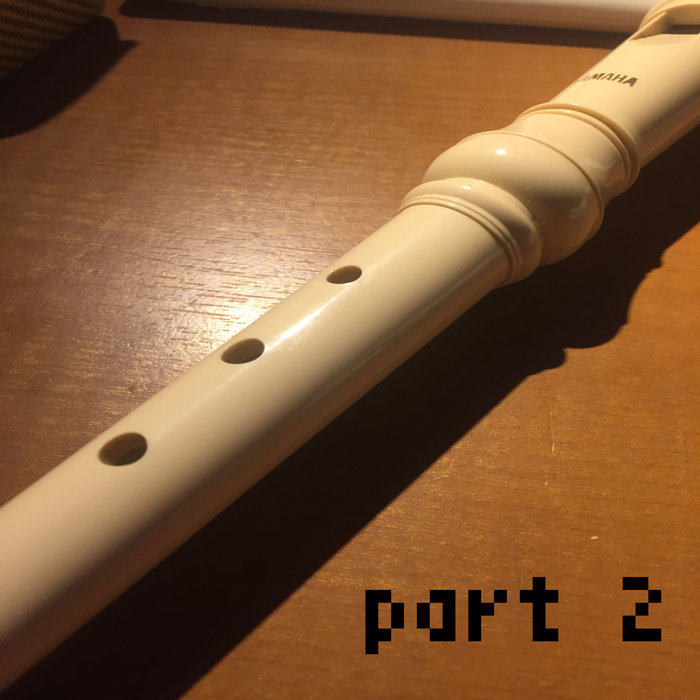 Loop Track 5 Recorder 2 | S.D.loops