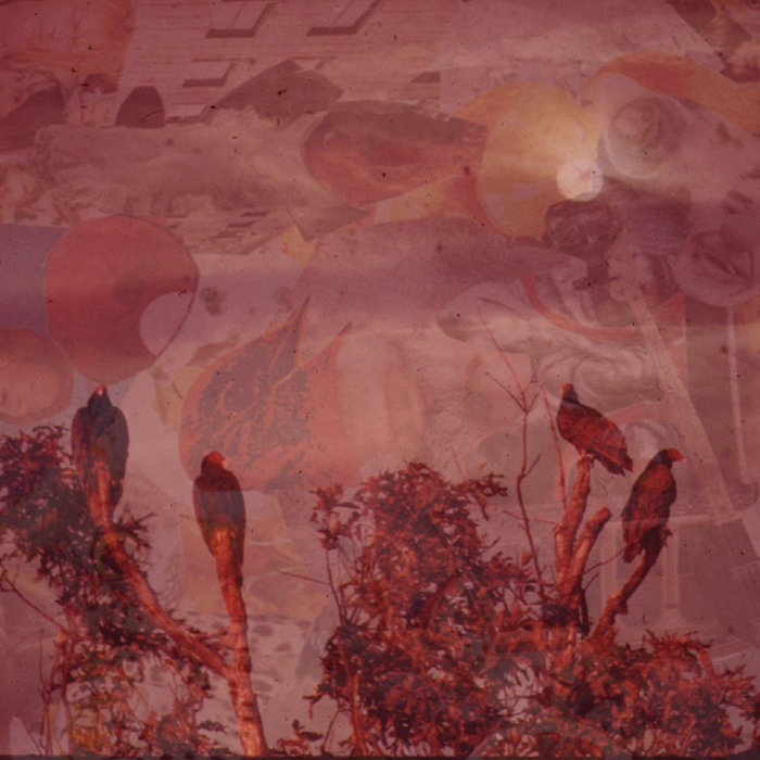 Mosaic of Princes | Jonathan Rager | The Language of Floods