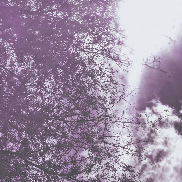 A Burning Down | Erinome | AARON ROSS HANSEN