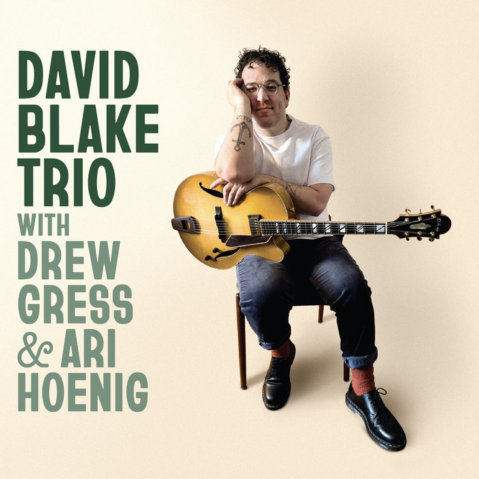 Trio with Drew Gress & Ari Hoenig | David Blake