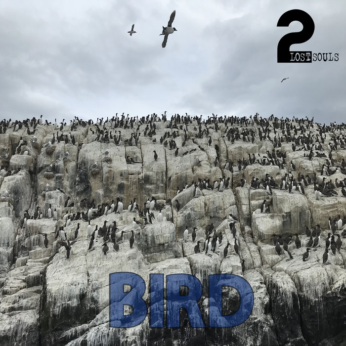 Bird | 2 Lost Souls