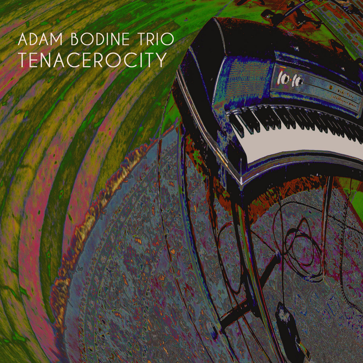 Tenacerocity | Adam Bodine Trio | Adam Bodine