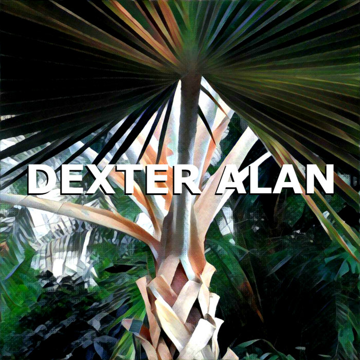 Something About You (Dexter Alan edit) | Dexter Alan