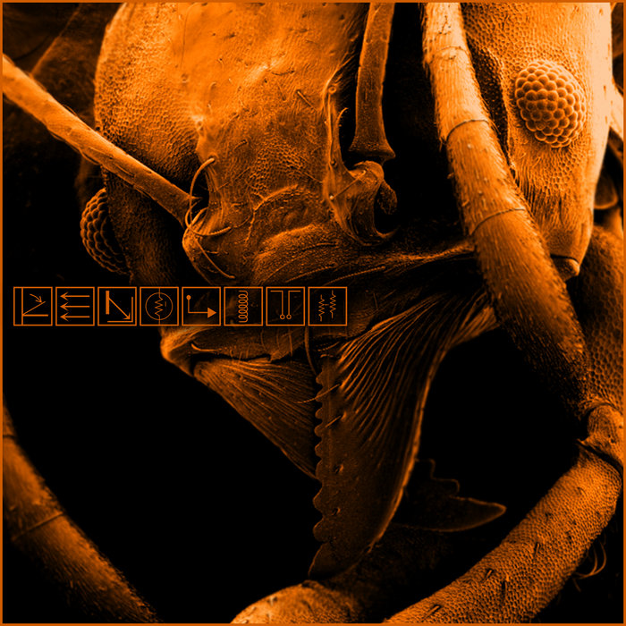 [𝔖ǫѵёяₔ丨ⳒՈ ṧŦЯāíղ] | Kenolith | Void Sigil