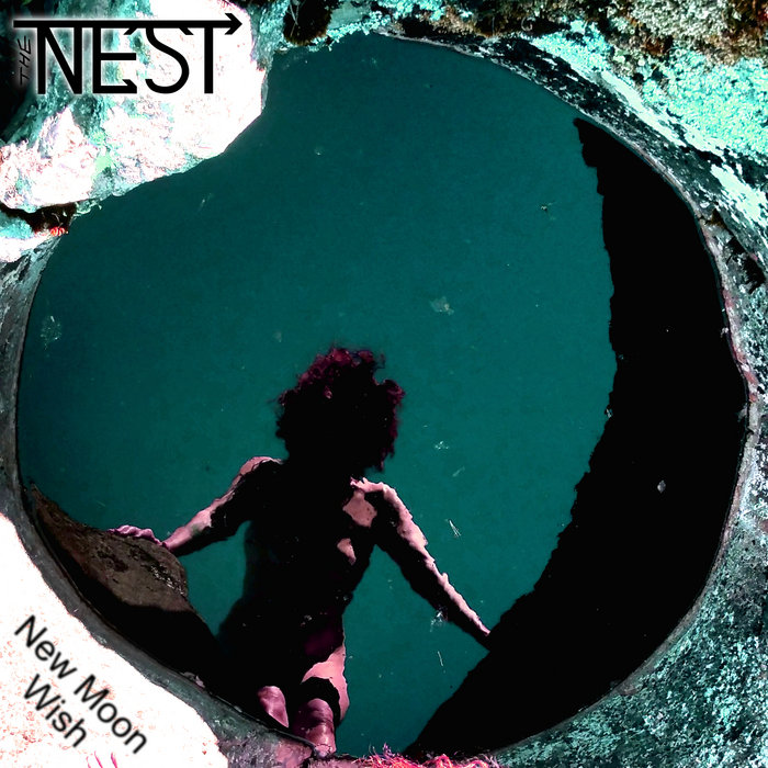New Moon Wish | The Nest