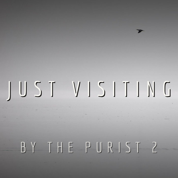 Just Visiting | THE PURIST 2
