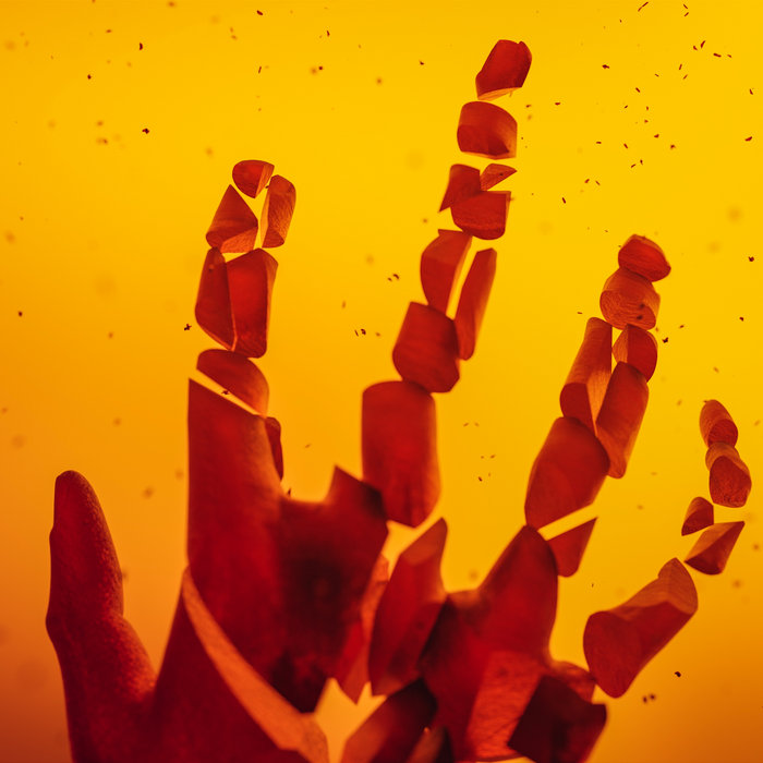 UNLEARNING | Daniel Mandel