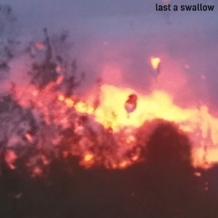 last a swallow | the swallow in front of monohoshi zao
