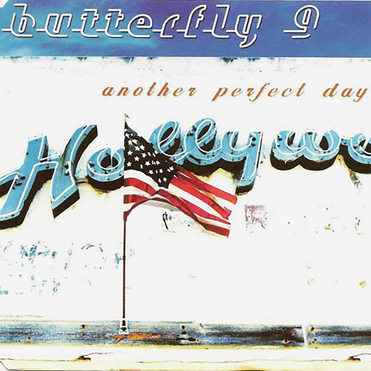 Another Perfect Day | butterfly 9