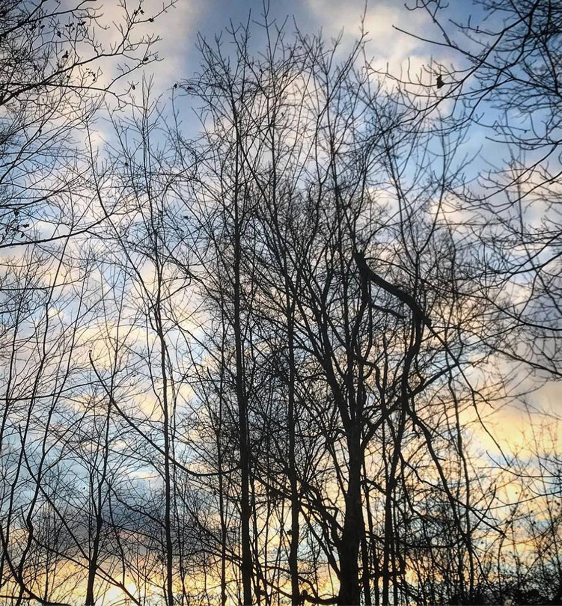 Distance Of Light | Jonathan Rager | The Language of Floods