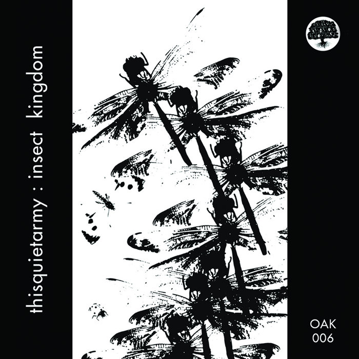 Insect Kingdom | thisquietarmy