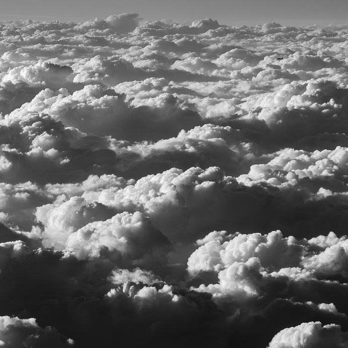 In-Flight | Todd Jackson