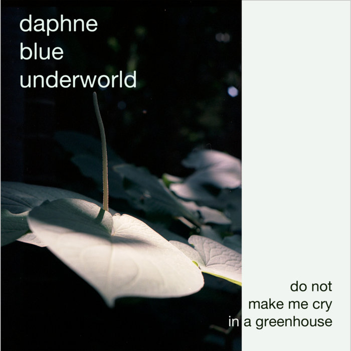 Do Not Make Me Cry In A Greenhouse | Daphne Blue Underworld