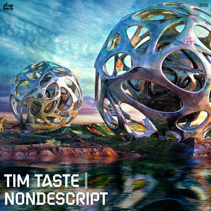 SH105 TiM TASTE - Nondescript EP | TiM TASTE | Soupherb Records