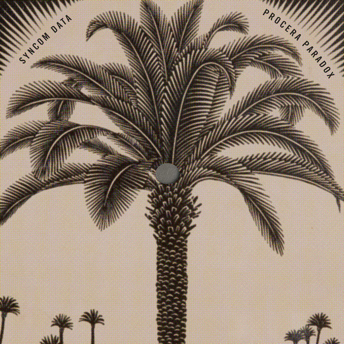 Procera Paradox | Syncom Data | Syncom Data