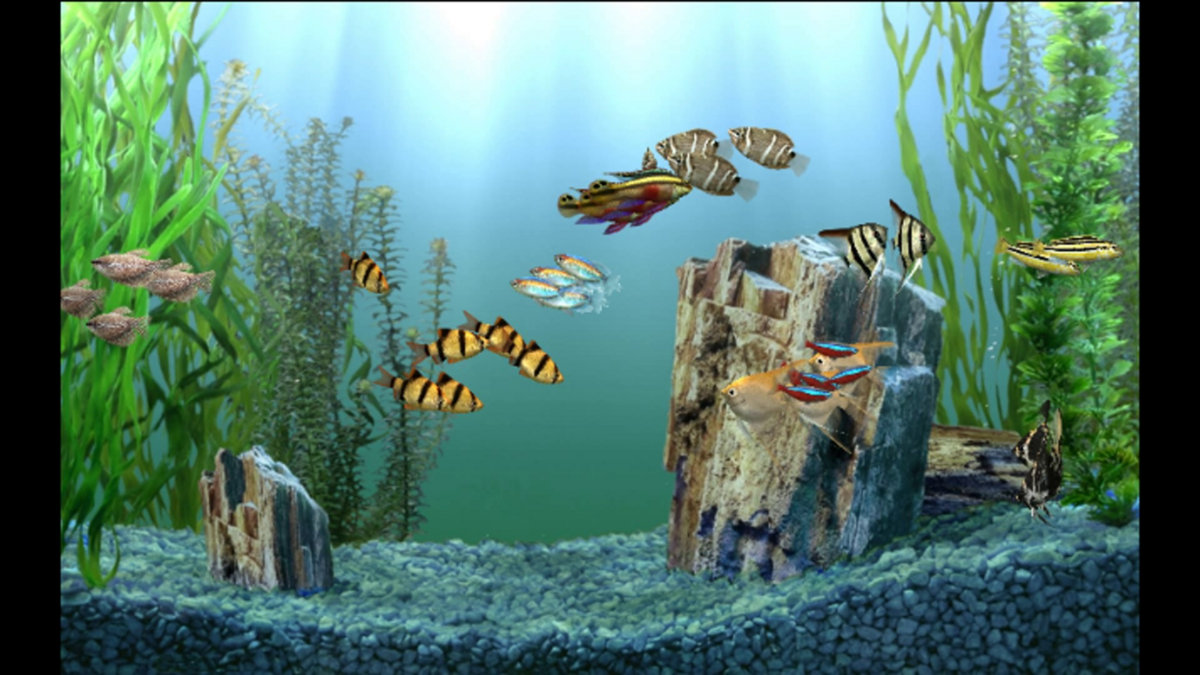 CLEAN INSTALL WINDOWS XP AQUARIUM | tekunoraizu