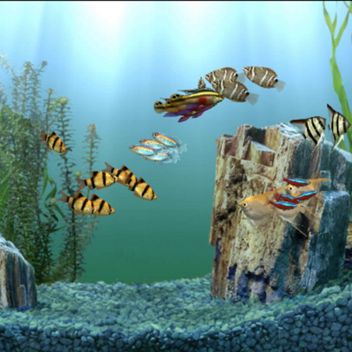 CLEAN INSTALL WINDOWS XP AQUARIUM | tekunoraizu