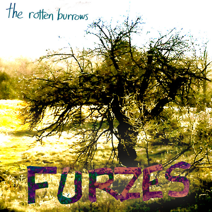 FURZES | The Rotten Burrows