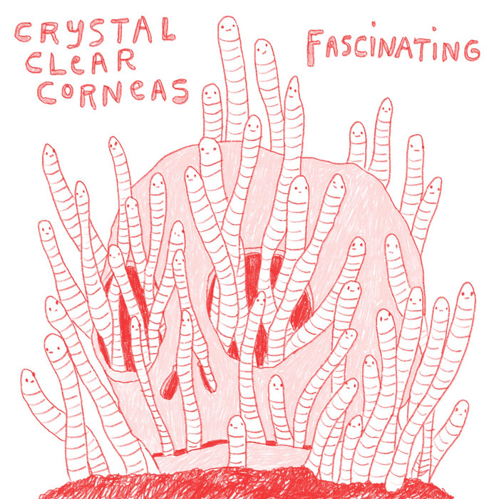 Fascinating | Crystal Clear Corneas