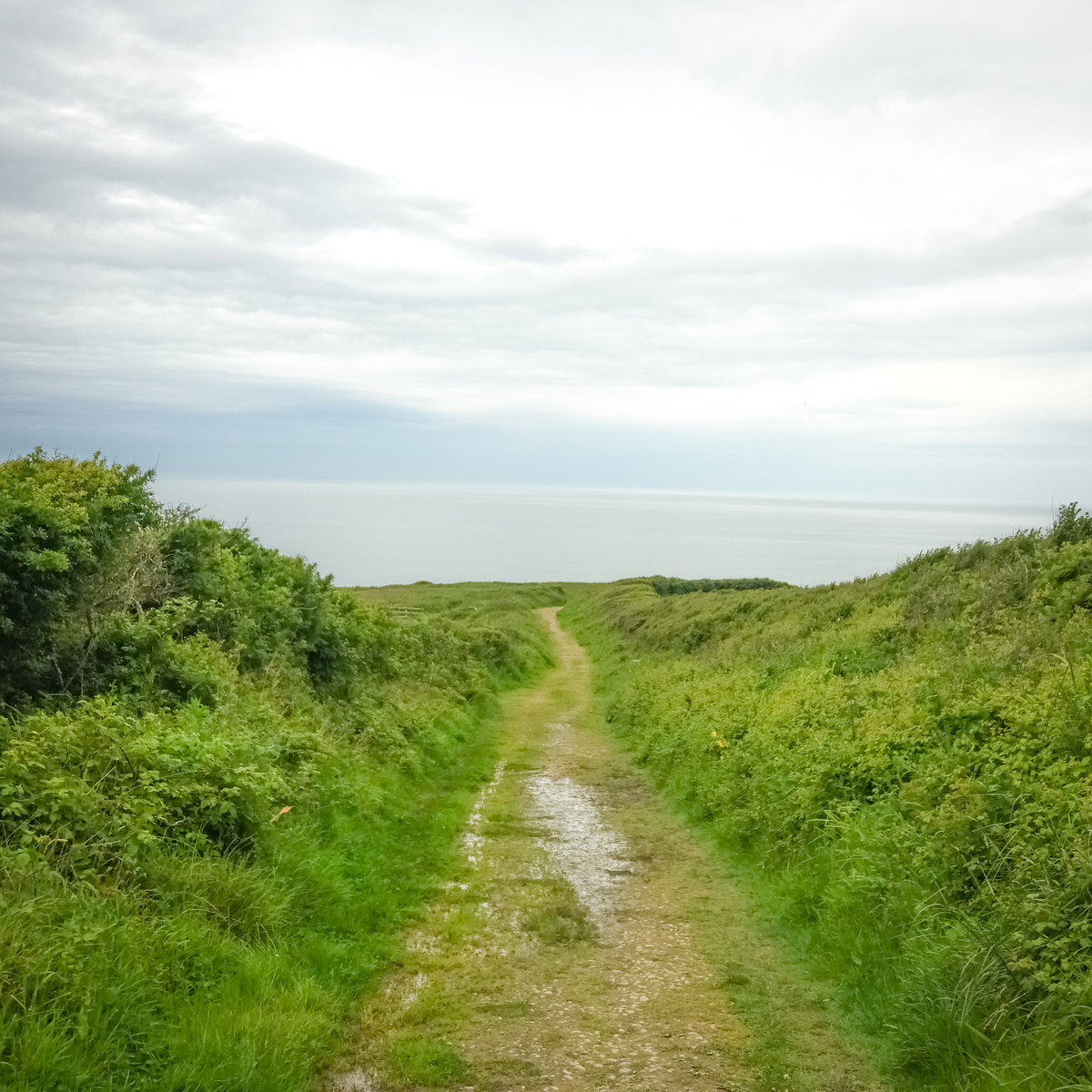 Przemienienie | Bruno Janiszewski