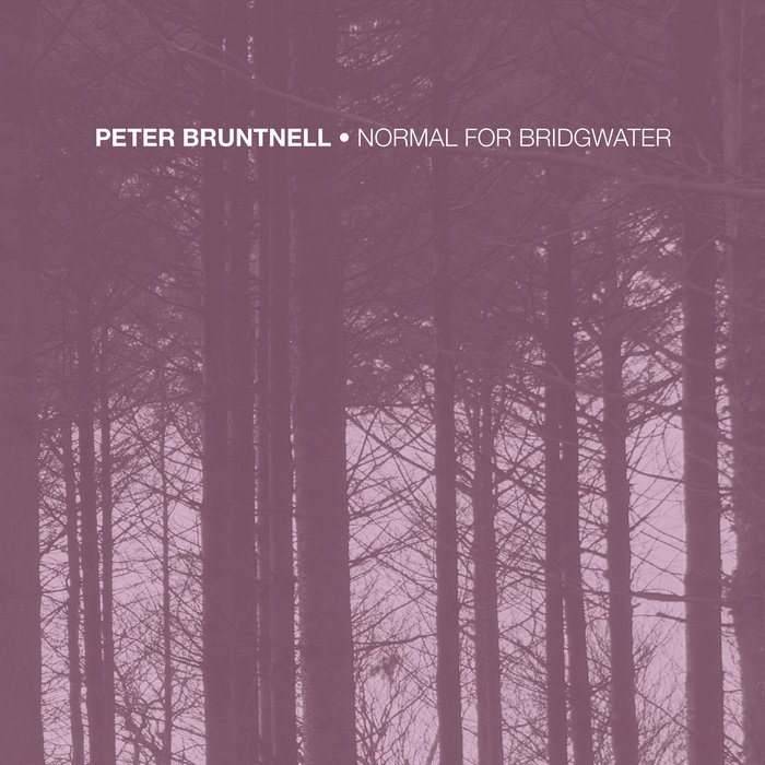 Normal For Bridgwater | Peter Bruntnell