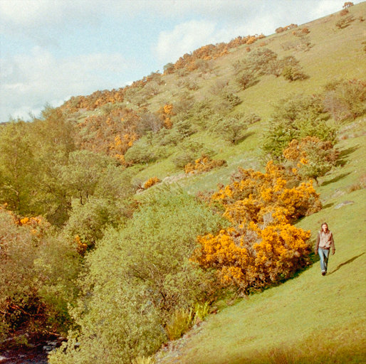 Wild Mountainside | Gill Sandell