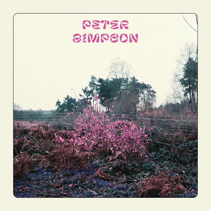 Peter Simpson | Peter Simpson