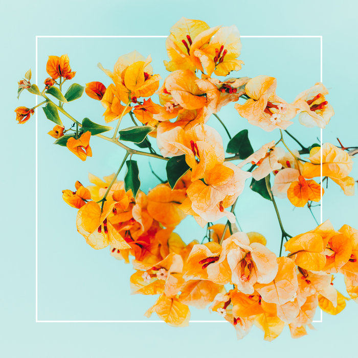 Summer Camp Experiment | An On Bast