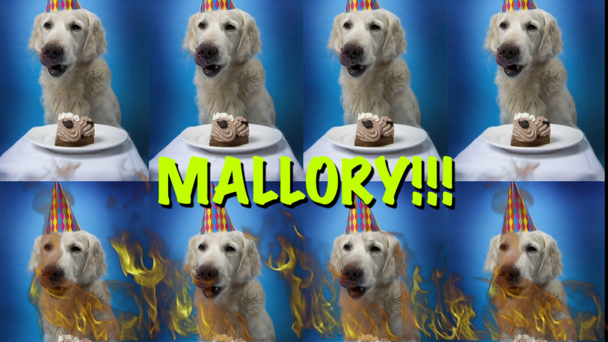 HAPPY BIRTHDAY MALLORY! | Epic Happy Birthdays