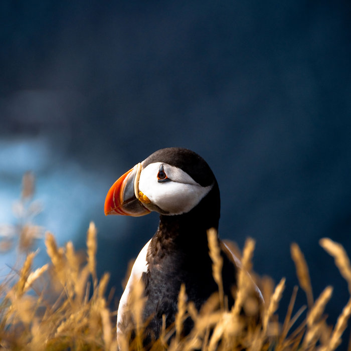 The Most Badass Album You've Ever Heard | The Most Badass Band You've ...