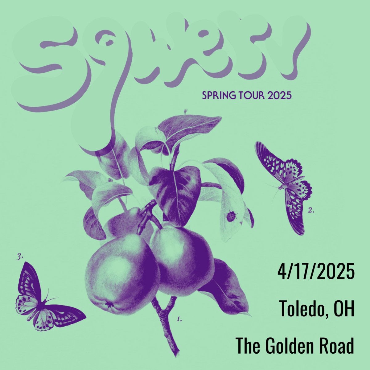Live Sqwerv: 4/17/2025 | The Golden Road | Toledo, OH | Sqwerv