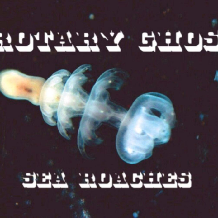 Sea Roaches | rotary ghost