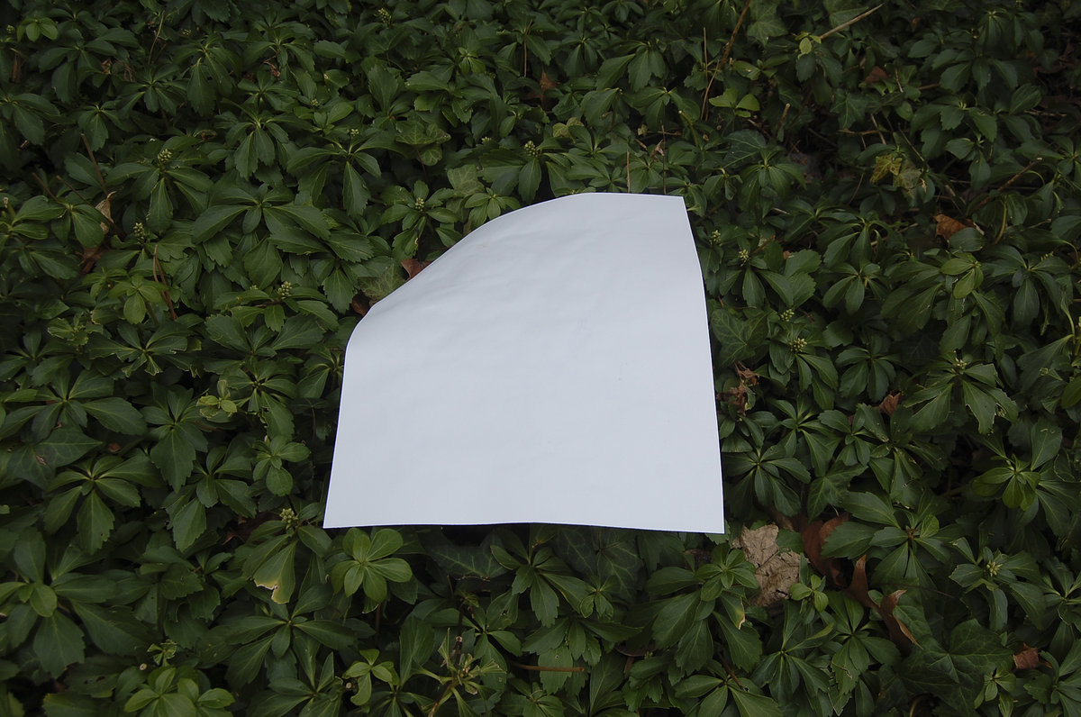 groundswell | isaac silber