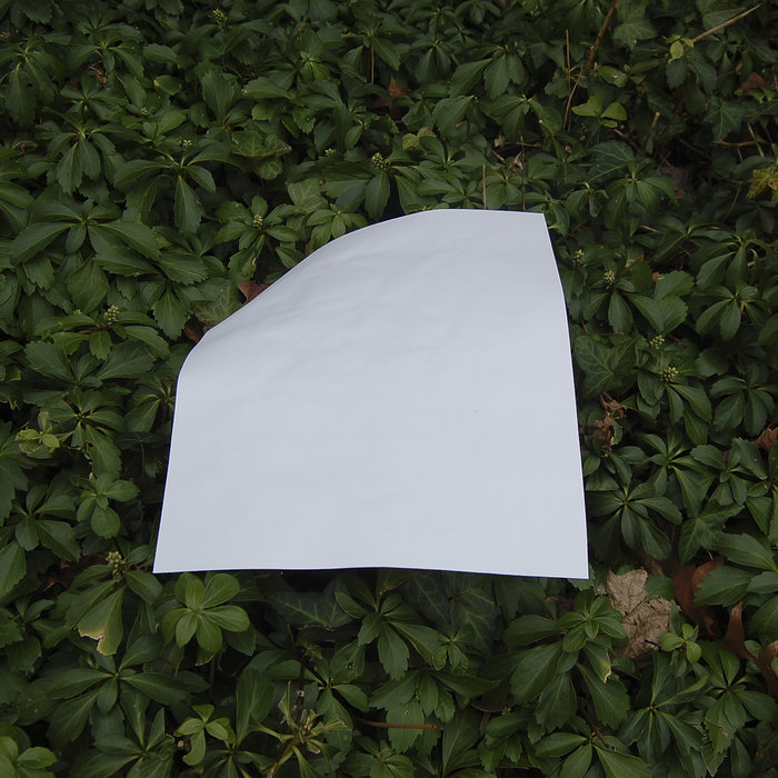 groundswell | isaac silber