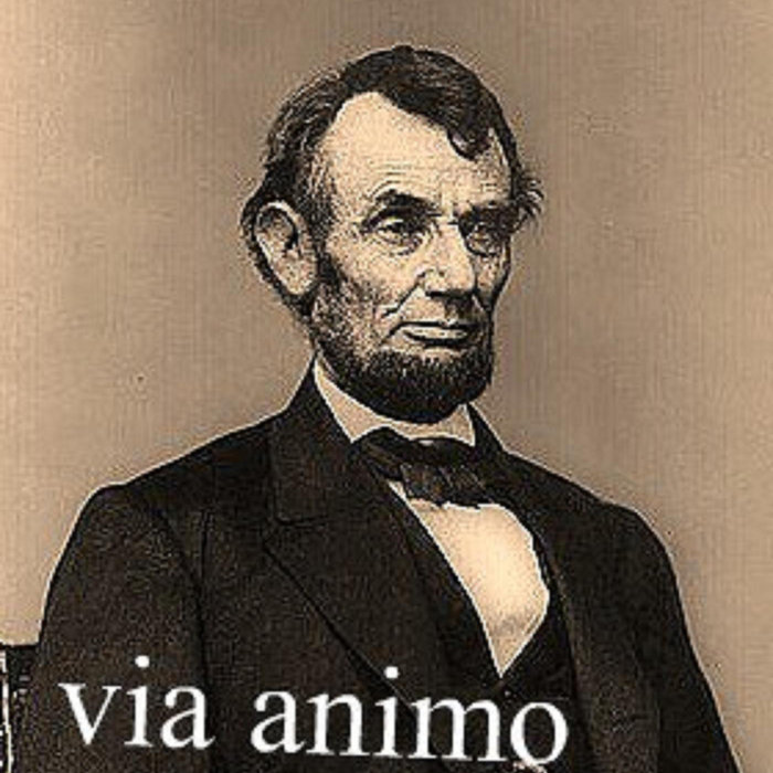 via animo | via animo