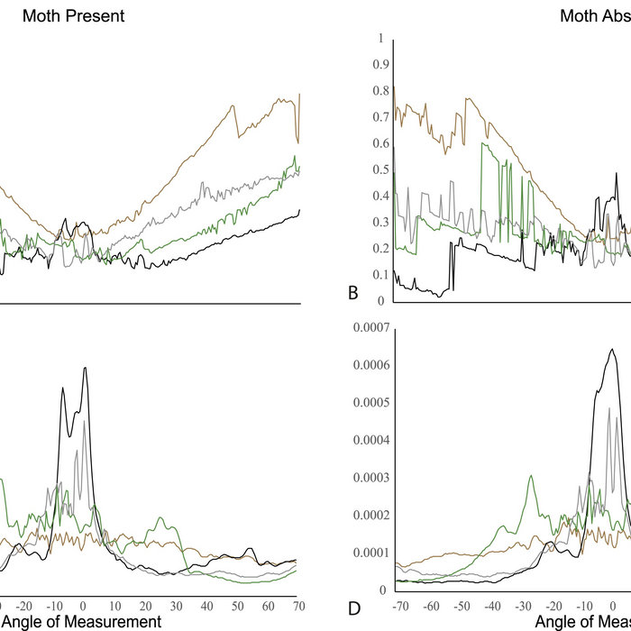 Moth Flight's Vision Pdf Download | Benedzacc | siovirpeidibo