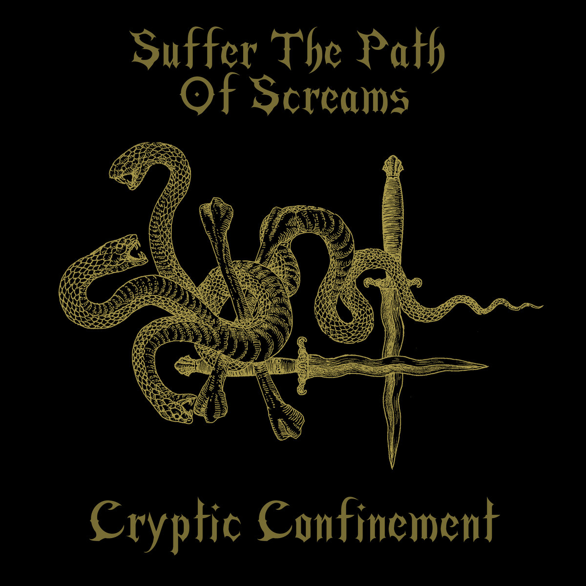 Suffer The Path Of Screams | Cryptic Confinement