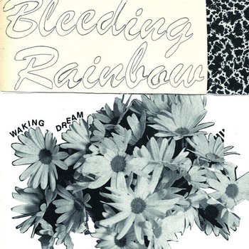 Music | Bleeding Rainbow