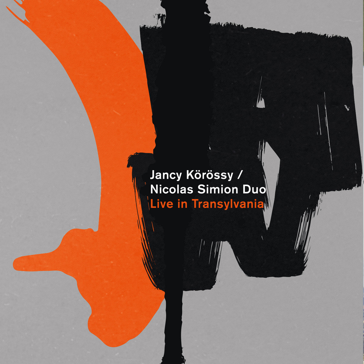 Live In Transylvania | Nicolas Simion